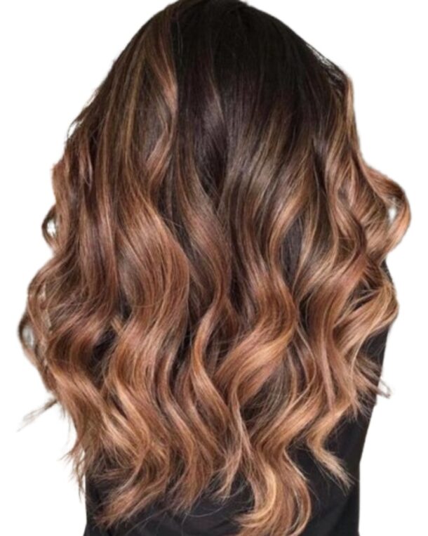 Tudo o que você precisa saber sobre a tendência de cabelos morena ...